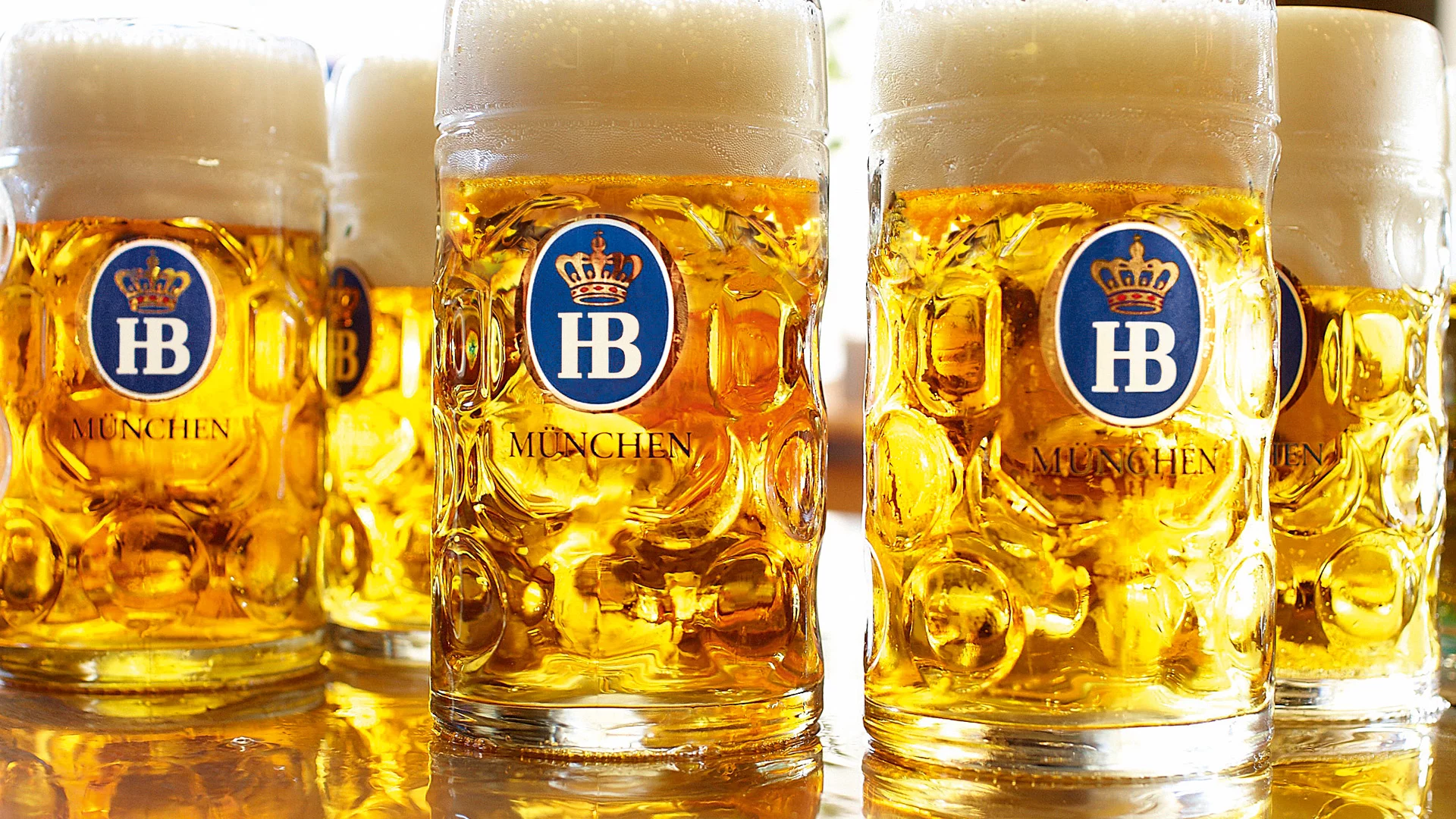 Home - Hofbräuhaus Of America LLC