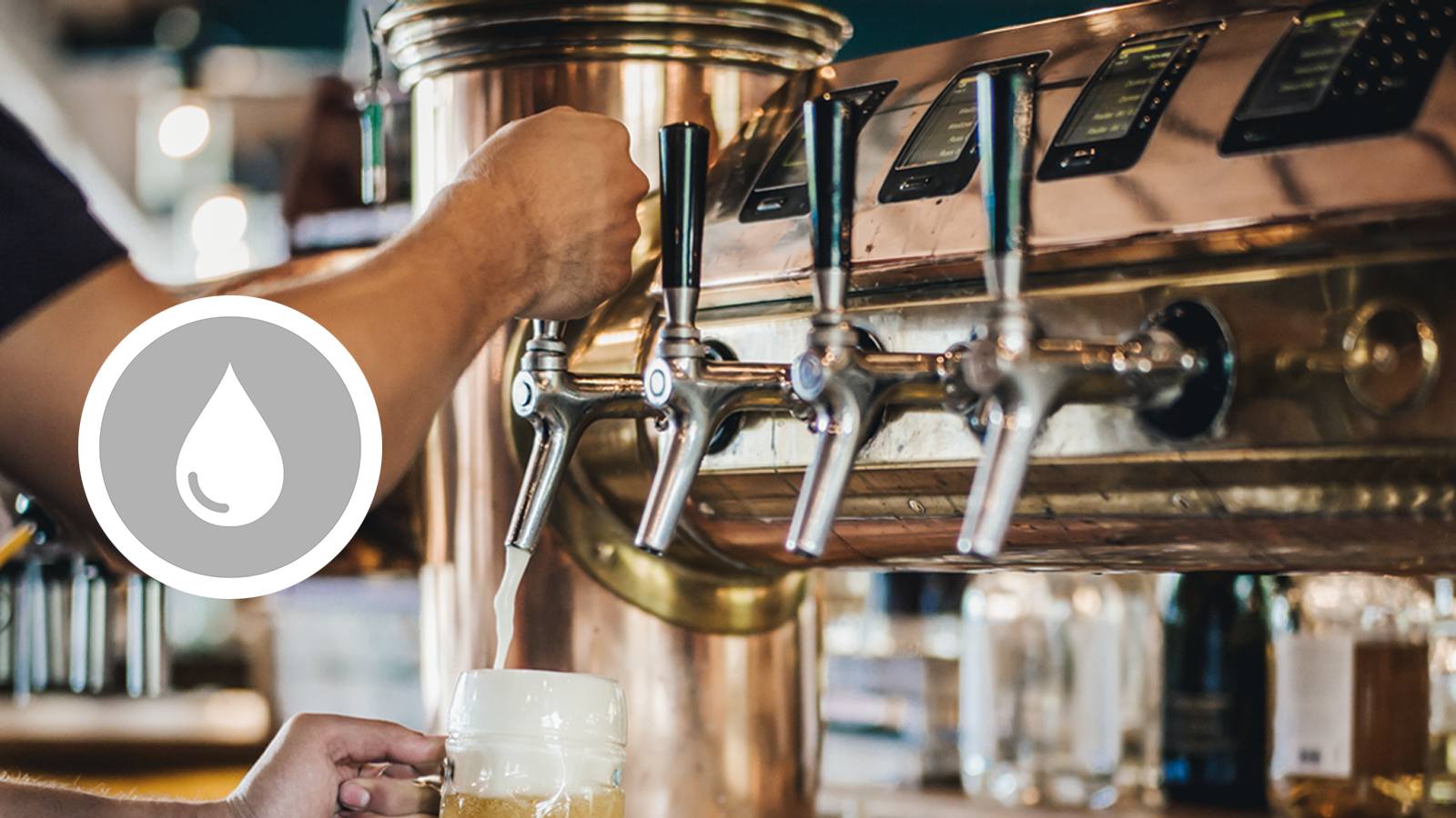 The Draft Faucet - Hofbräuhaus Of America LLC